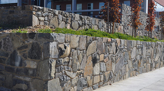 ABOUT – Nimmitabel